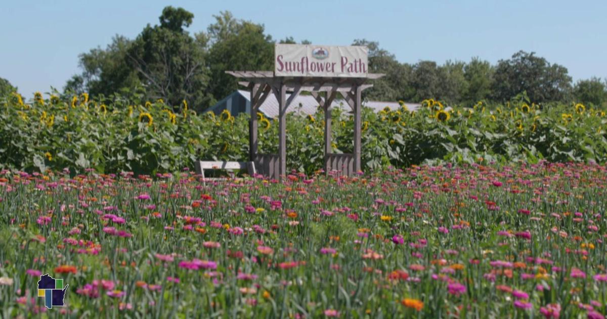 Wisconsin Life | Angela Fitzgerald frolics through the flowers ...