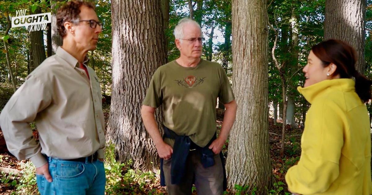 You Oughta Know | Delaware Hunter Discovers Rare Tree | Season 2022 ...