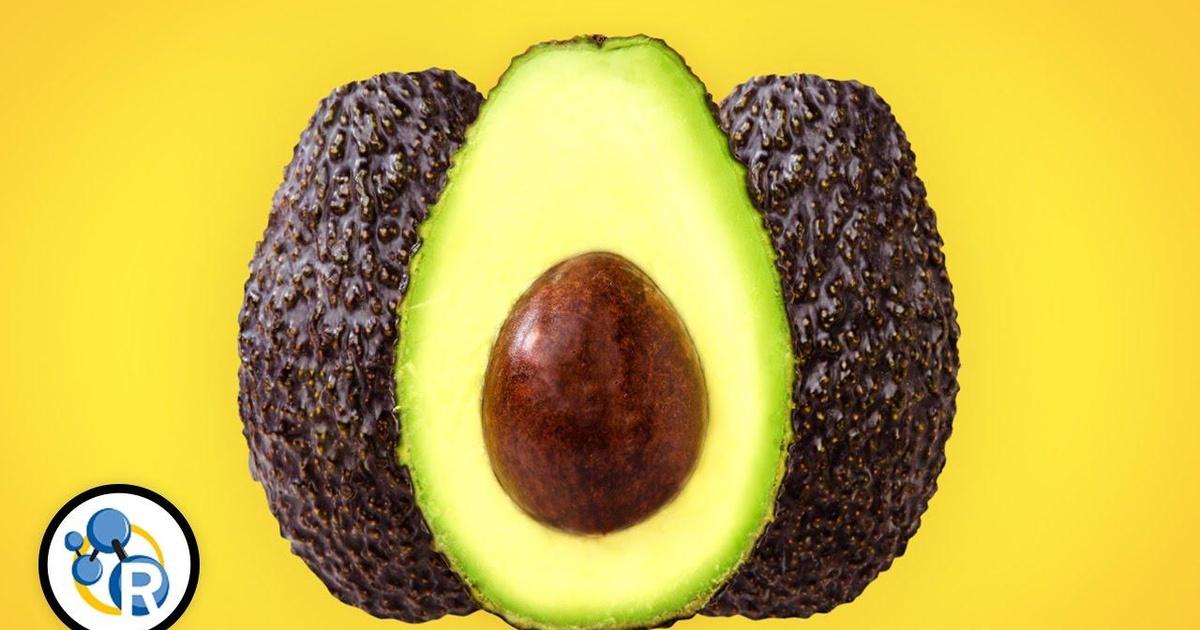 Reactions | The Science of Avocados | Season 2 | Episode 22 | PBS