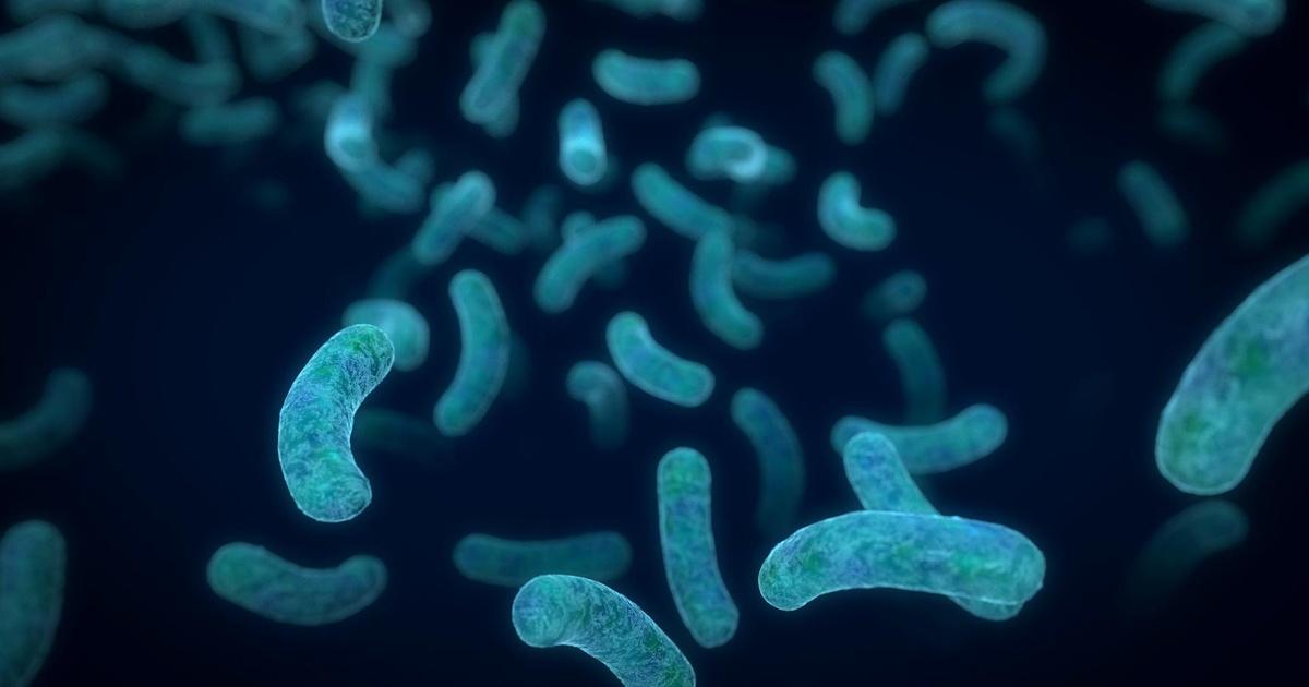 NOVA | Six Microbes Living in You | Season 45 | Episode 102 | PBS