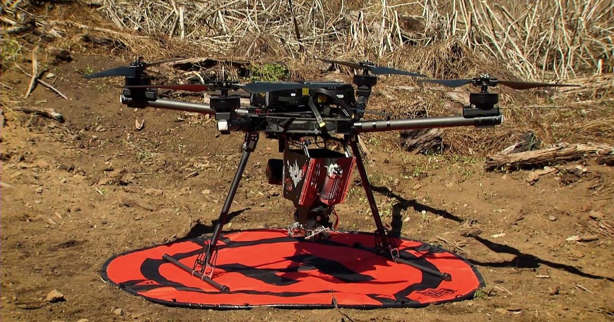 Virginia Home Grown | Drones in Forestry Management | Season 24 ...