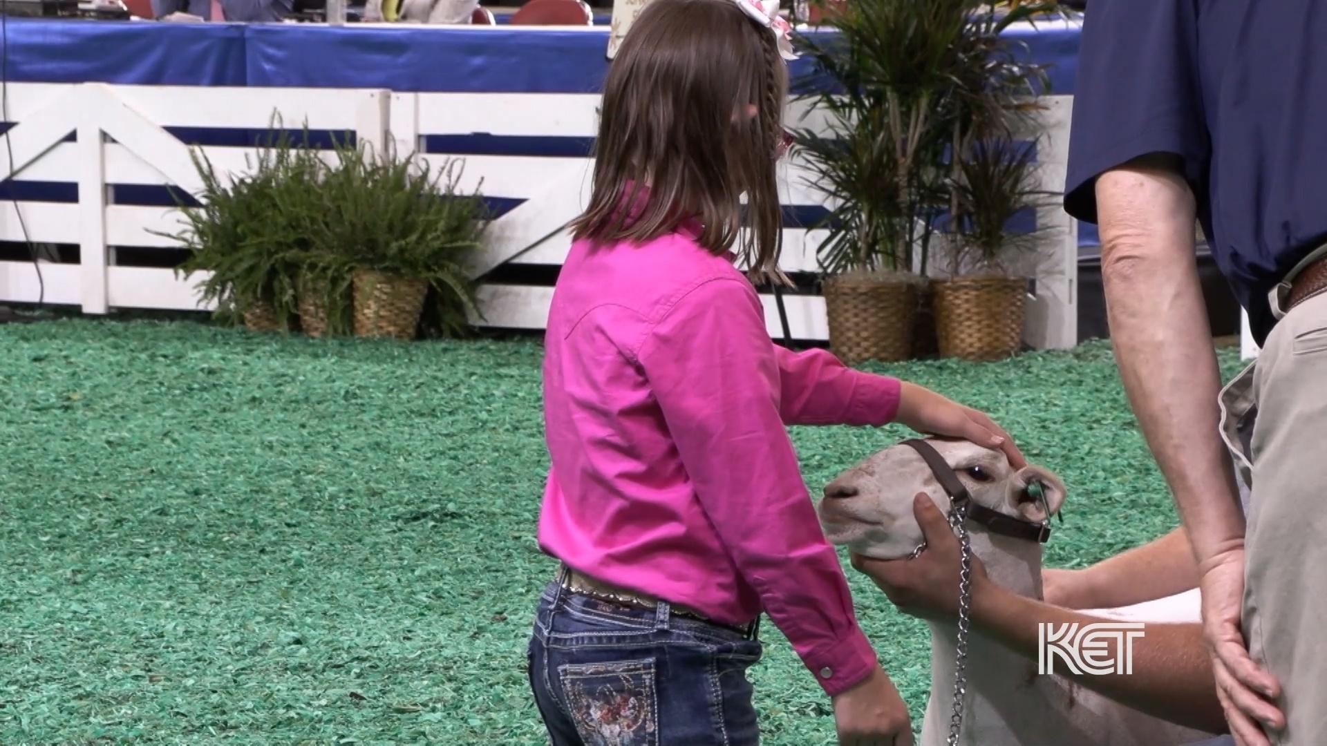 KENTUCKY EDITION: KENTUCKY STATE FAIR > KET