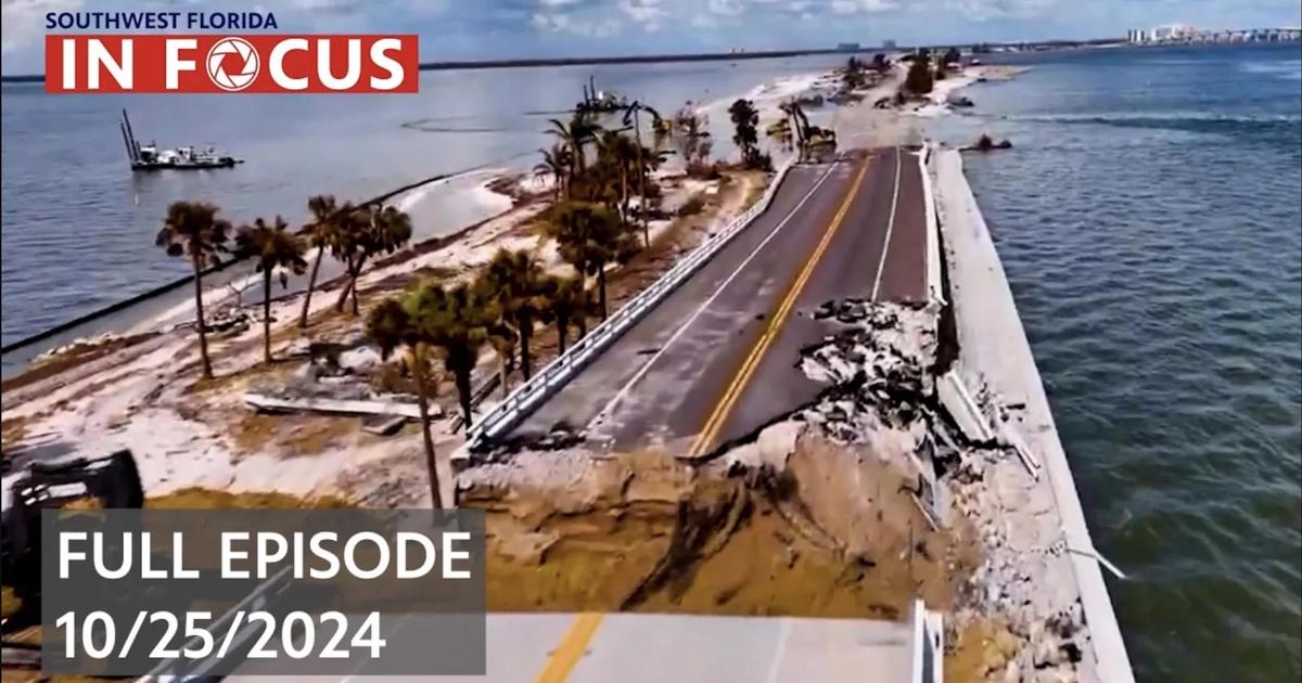 Southwest Florida In Focus | Season 2024 | Southwest Florida In Focus ...