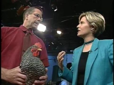 Almanac - What's a Lap Chicken? - Twin Cities PBS