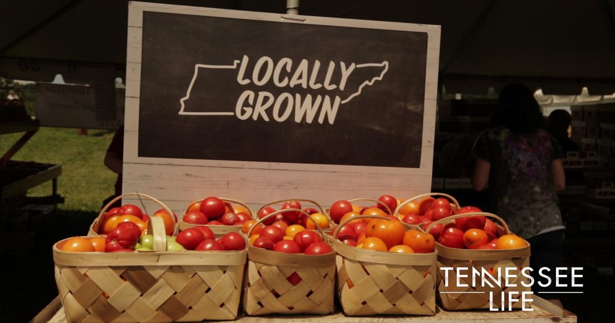 East Tennessee People Collection | Tennessee Life | PBS