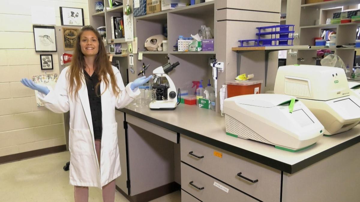 MEET THE HELPERS: SCIENTIST | Let's Learn | NJ PBS