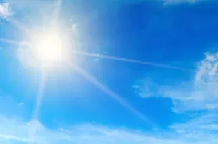 NOVA | Ancient Earth: Humans | Season 50 | Episode 15 | PBS