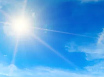 NOVA | Ancient Earth: Humans | Season 50 | Episode 15 | PBS