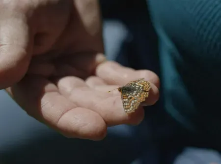 Evolution Earth | Earth | Episode 1 | PBS