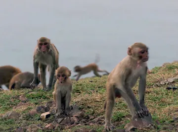 Hacking Your Mind | Us vs. Them | Episode 103 | PBS