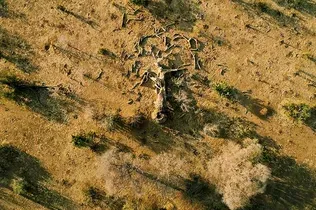 The Green Planet | Seasonal Worlds | Episode 3 | PBS