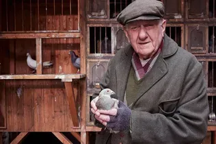 All Creatures Great and Small | Season 5 | Episode 7: All God's ...