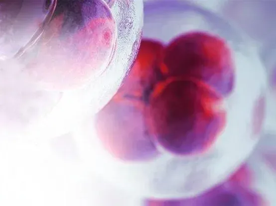 Cancer: The Emperor of All Maladies | Why Cancer is so difficult to ...