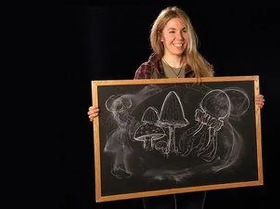 NOVA | Decoding da Vinci | Season 46 | Episode 21 | PBS