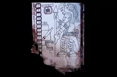 NOVA | A to Z: The First Alphabet | Season 47 | Episode 13 | PBS