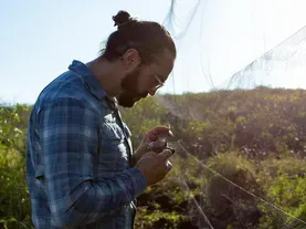 Evolution Earth | Ice | Episode 4 | PBS