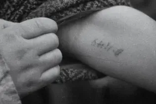 The U.S. and the Holocaust | “The Golden Door” (Beginnings-1938 ...