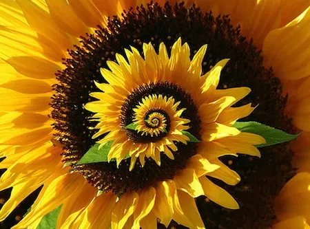 NOVA | Prediction by the Numbers | Season 45 | Episode 6 | PBS